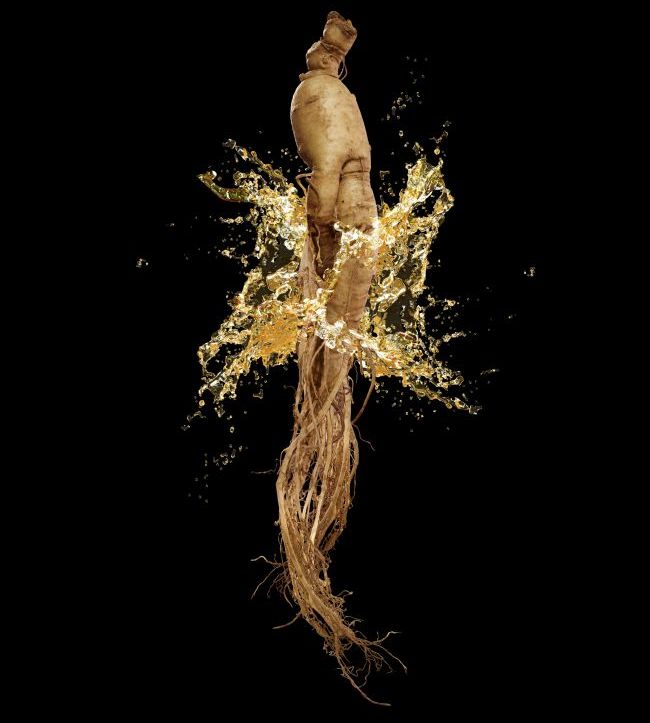 How to Choose and Use the Best Korean Ginseng for Your Daily Wellness ...